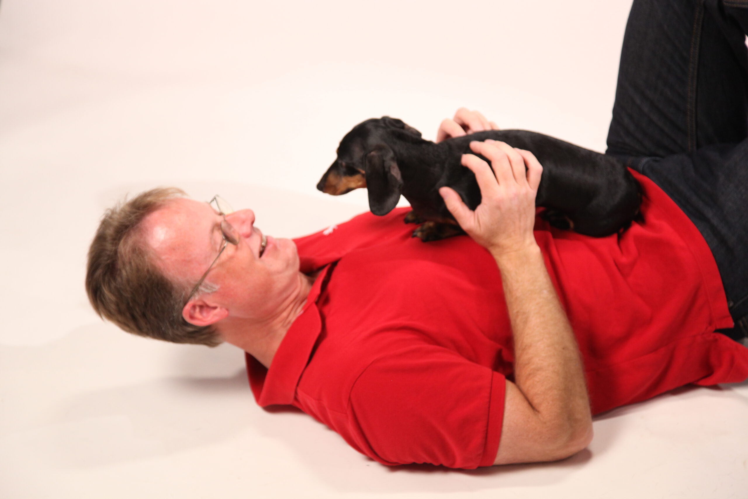 Frequently Asked Questions - Sam the Dog Trainer