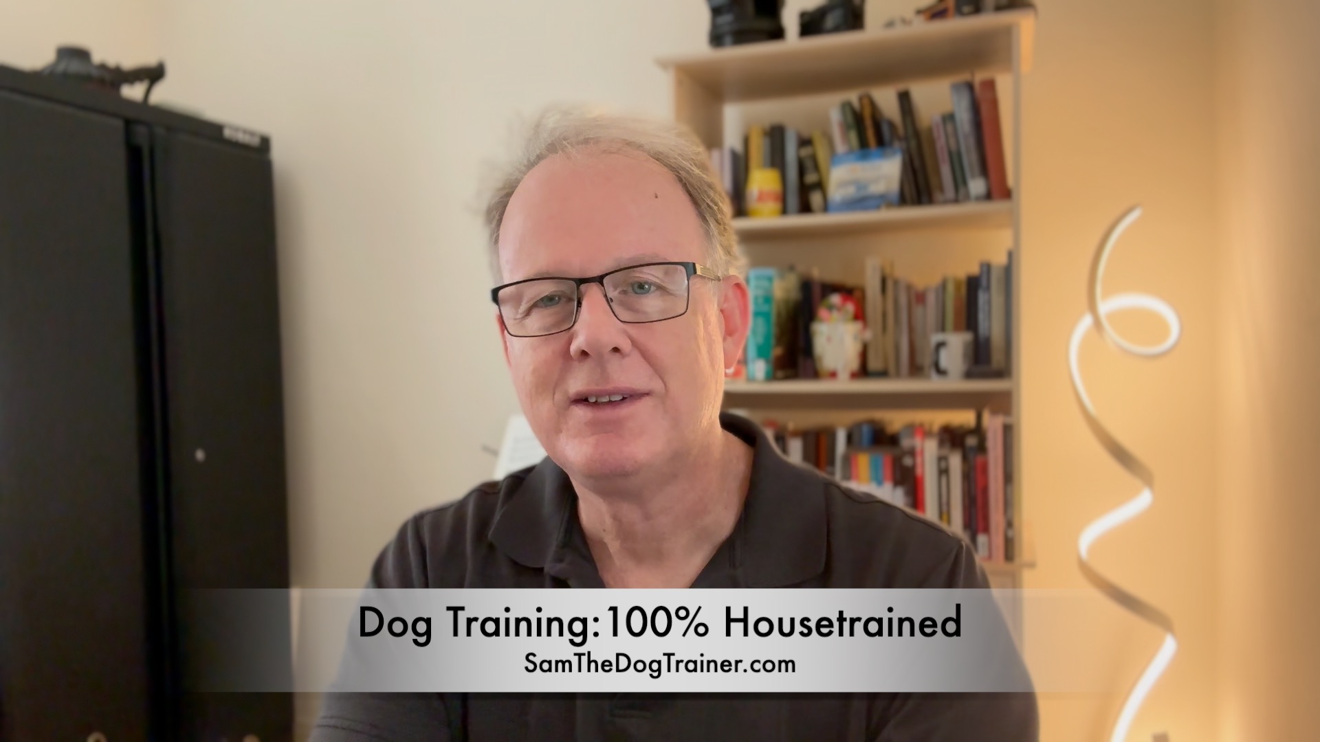 Dog Training: 100% Housetrained Video - Sam the Dog Trainer